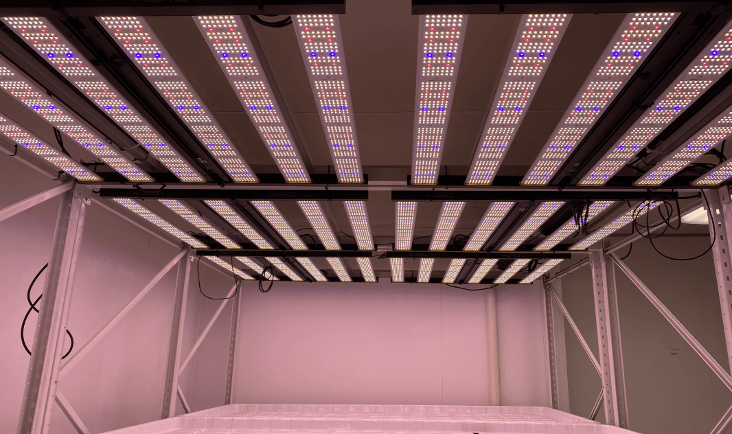 Free Resources To Help You Grow With Full Spectrum Grow Lights